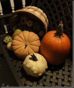 All Roads Lead Home: Pumpkins, Gourds and Mums Oh My!